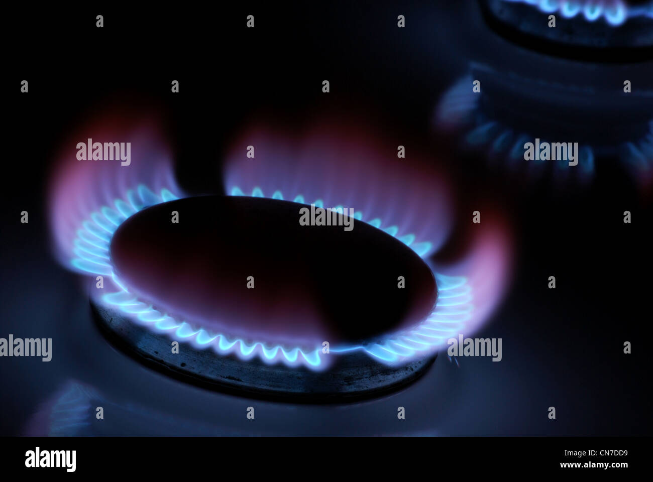 Gas cooker on high power Stock Photo - Alamy