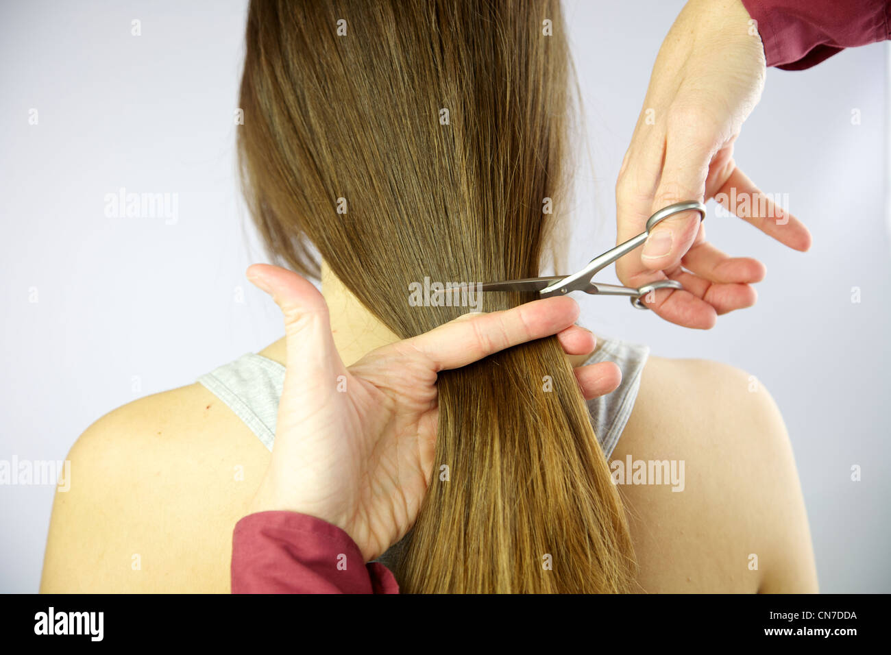 Cutting very long hair with scissors Stock Photo - Alamy