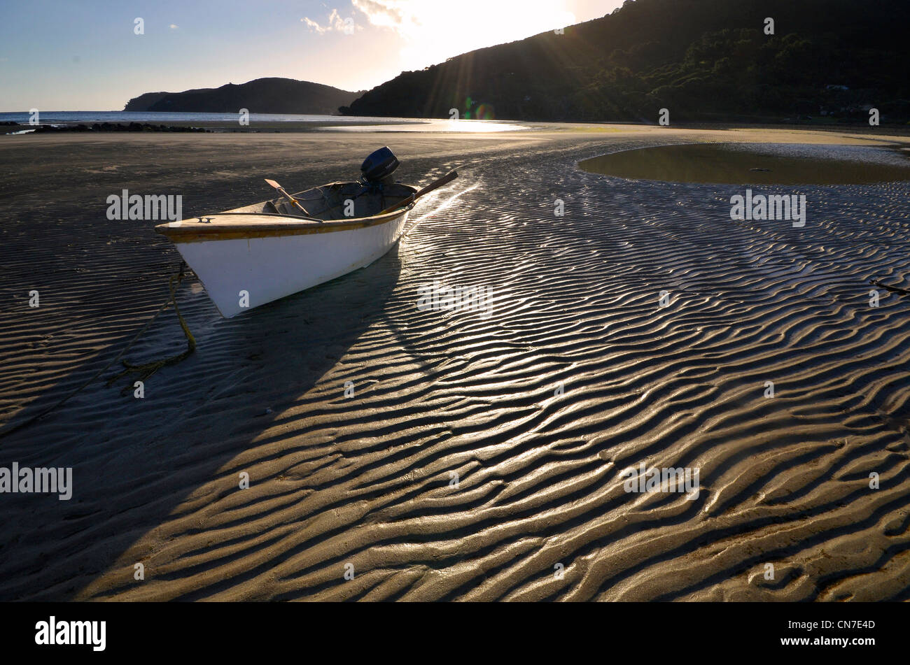 Tryphena bay hi-res stock photography and images - Alamy