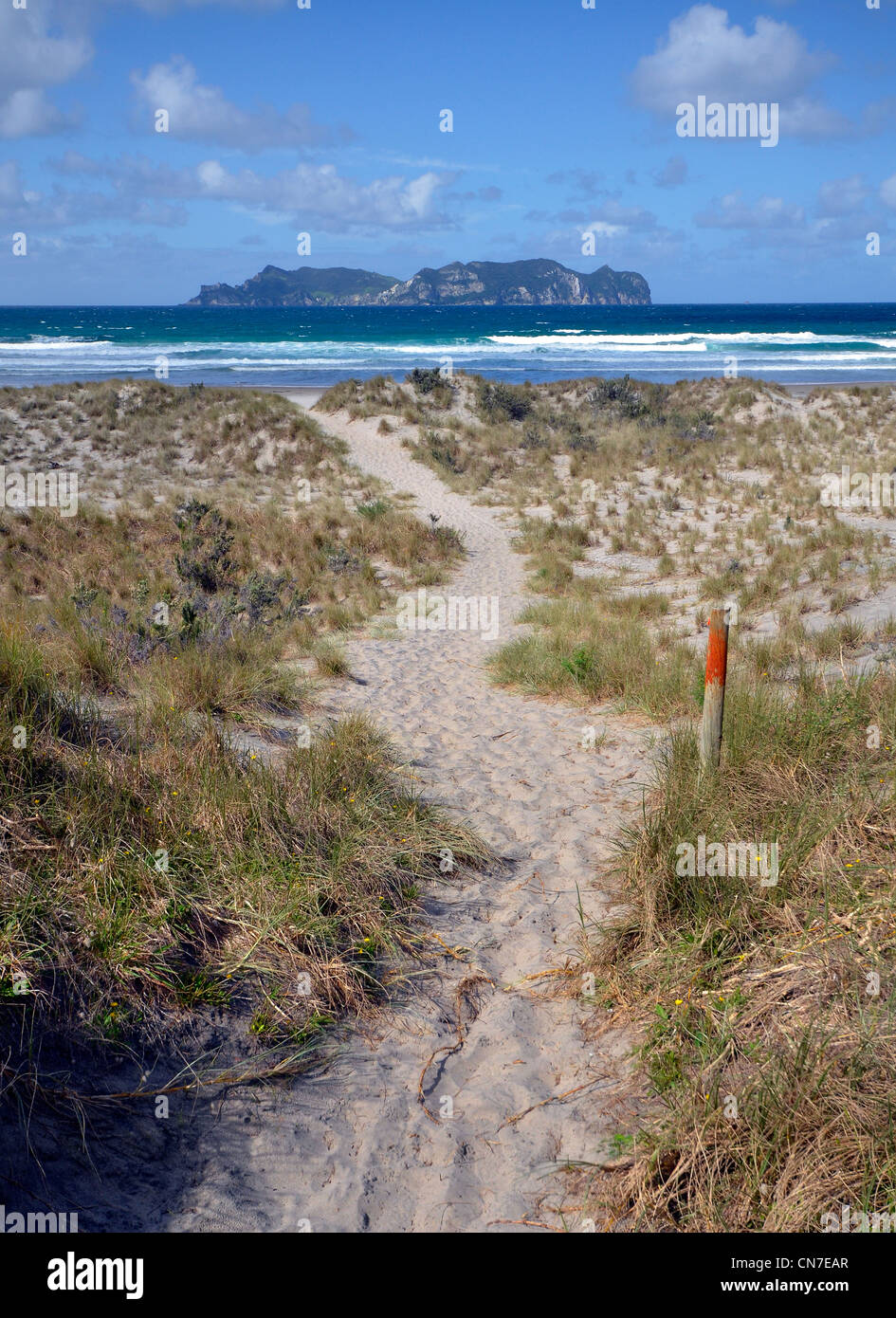 Sand dunes and blue sky on Whangapoua beach, north eastern Great ...