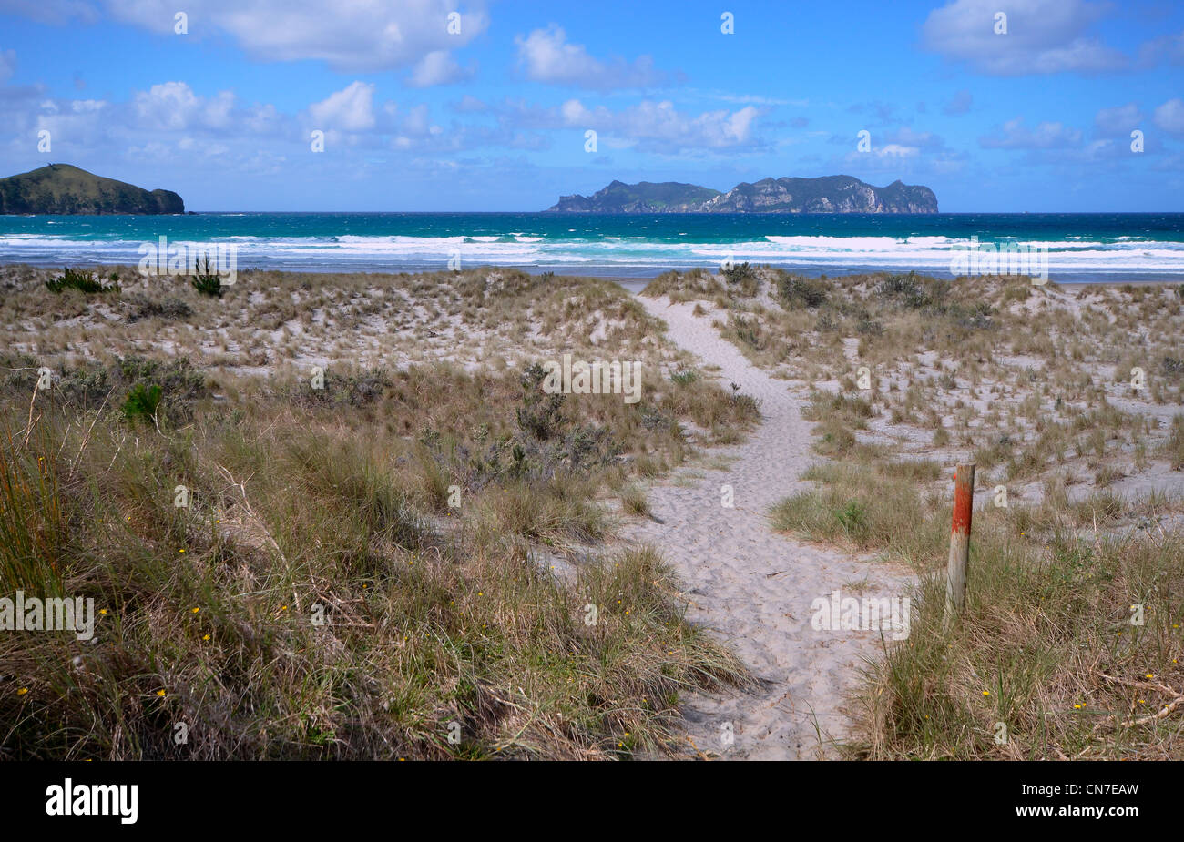 Sand dunes and blue sky on Whangapoua beach, north eastern Great ...