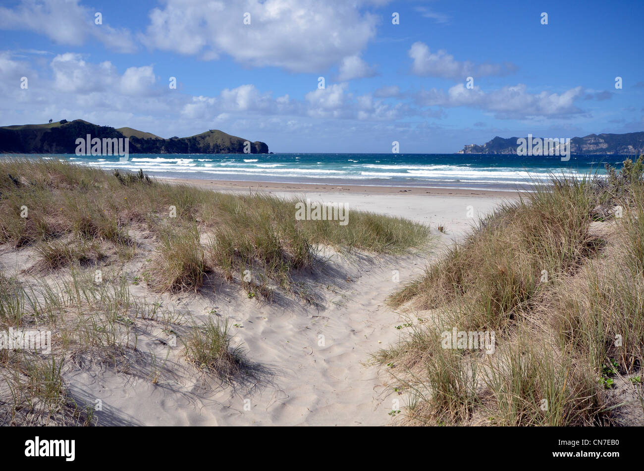 Sand dunes and blue sky on Whangapoua beach, north eastern Great ...