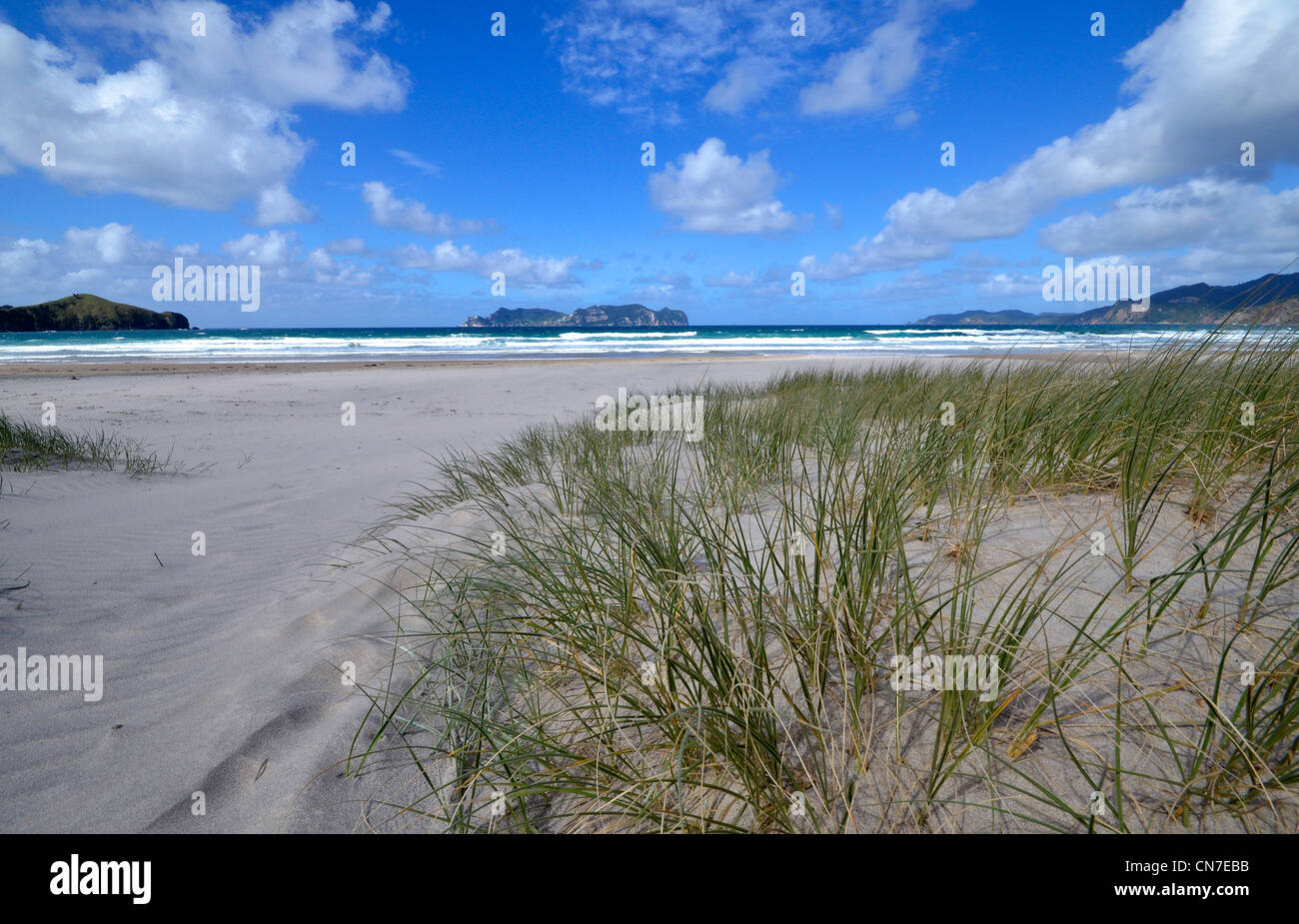 Sand dunes and blue sky on Whangapoua beach, north eastern Great ...