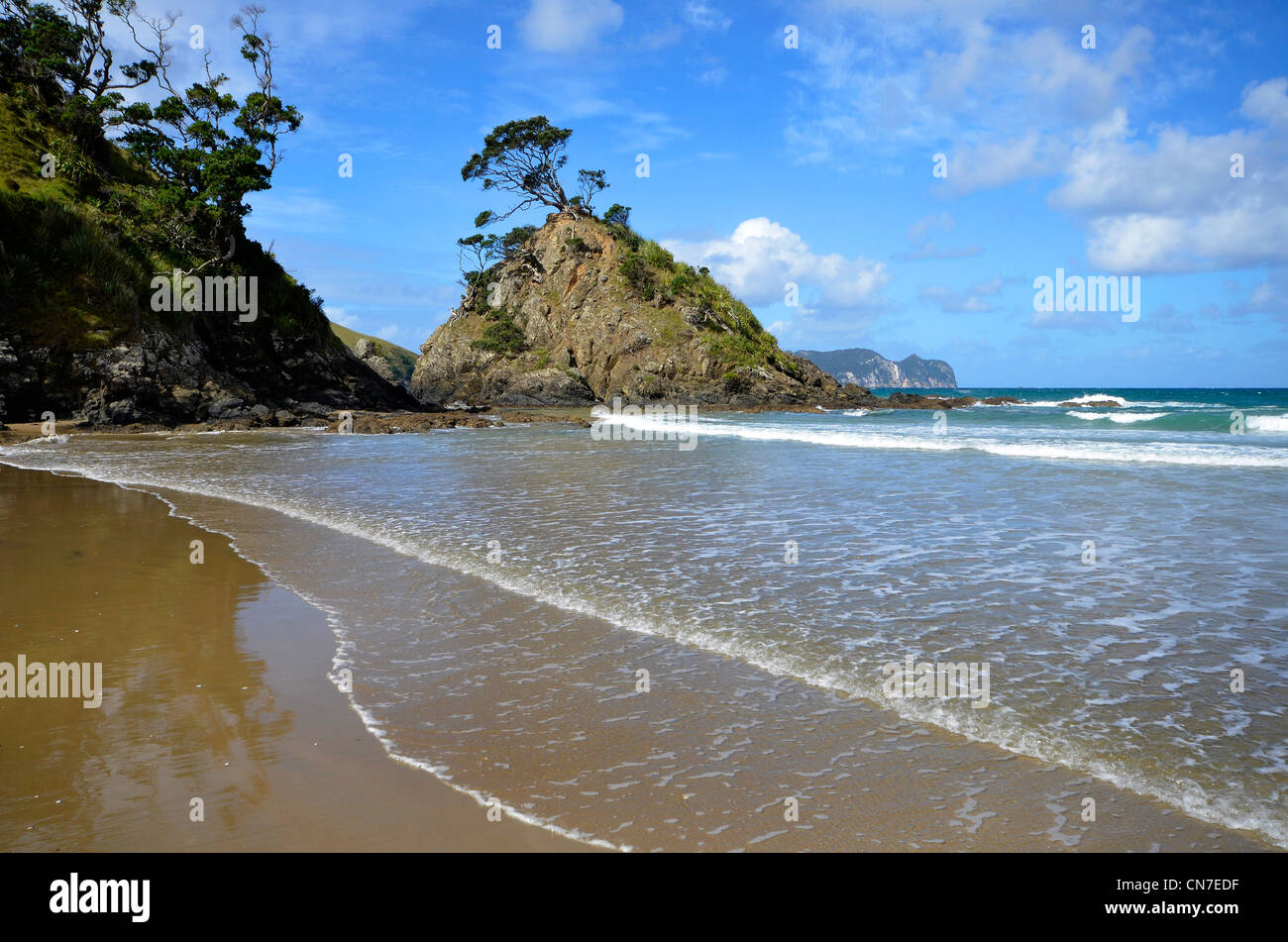 Tapuwai hi-res stock photography and images - Alamy