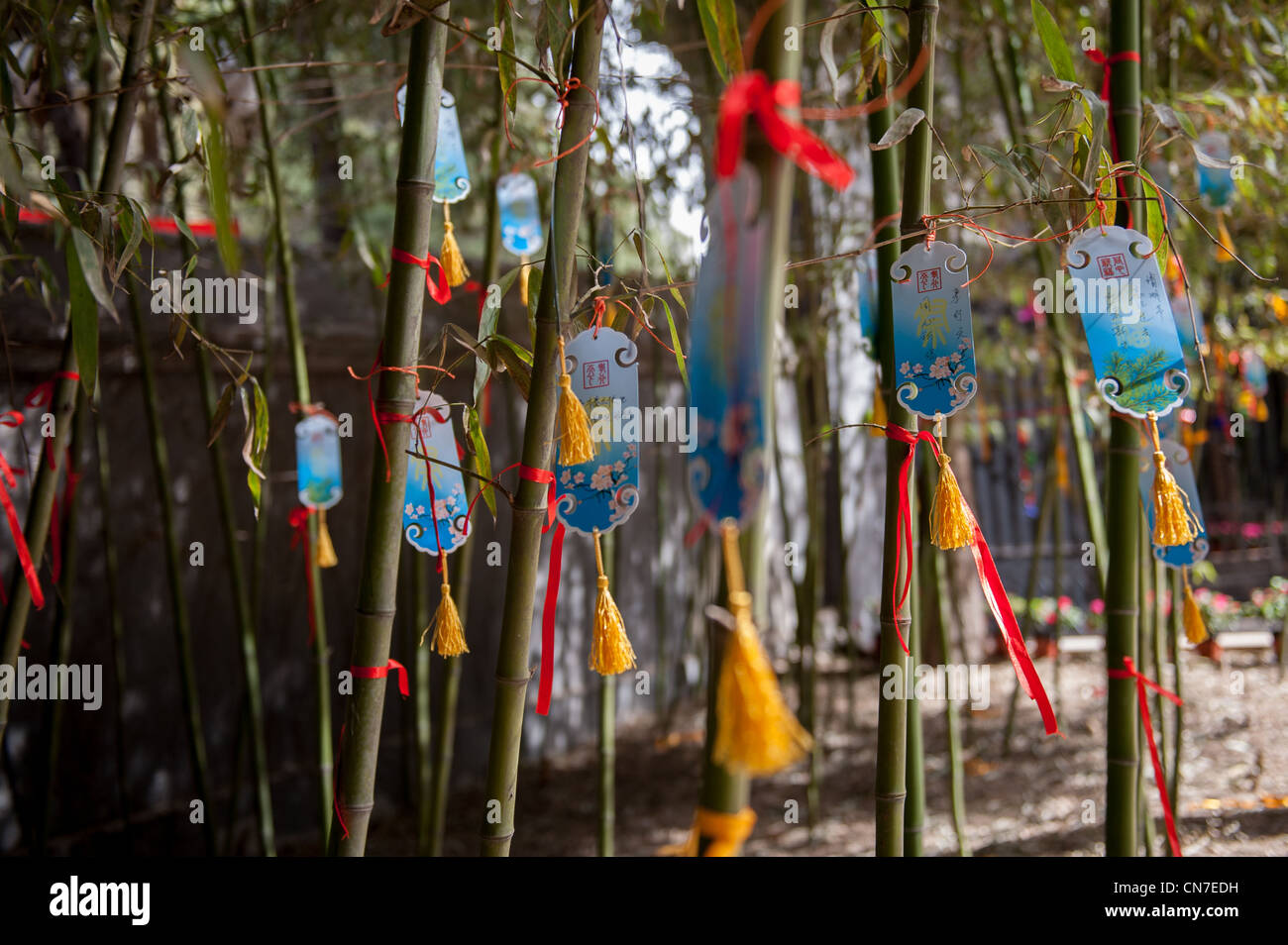 Beijing, Wanan cemetery. Tags with messages to deceased hanging in a ...