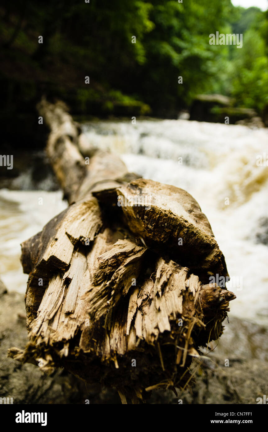 A waterfall in a canyon in Yenokavan, Armenia. Also called Lastiver ...