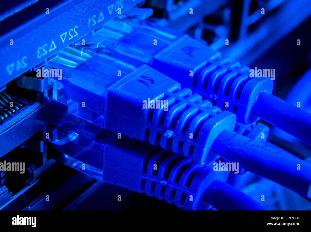 network cables connected to hub Stock Photo - Alamy