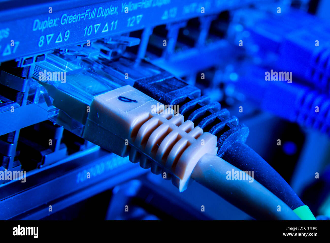 network cables connected to hub Stock Photo - Alamy