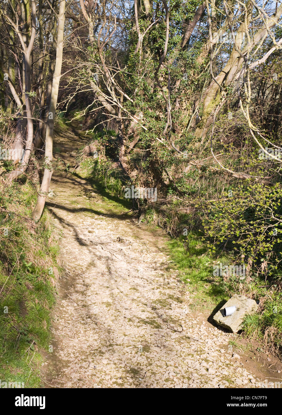 Drought conditions Spring 2012 dried up stream, Potsford Brook ...
