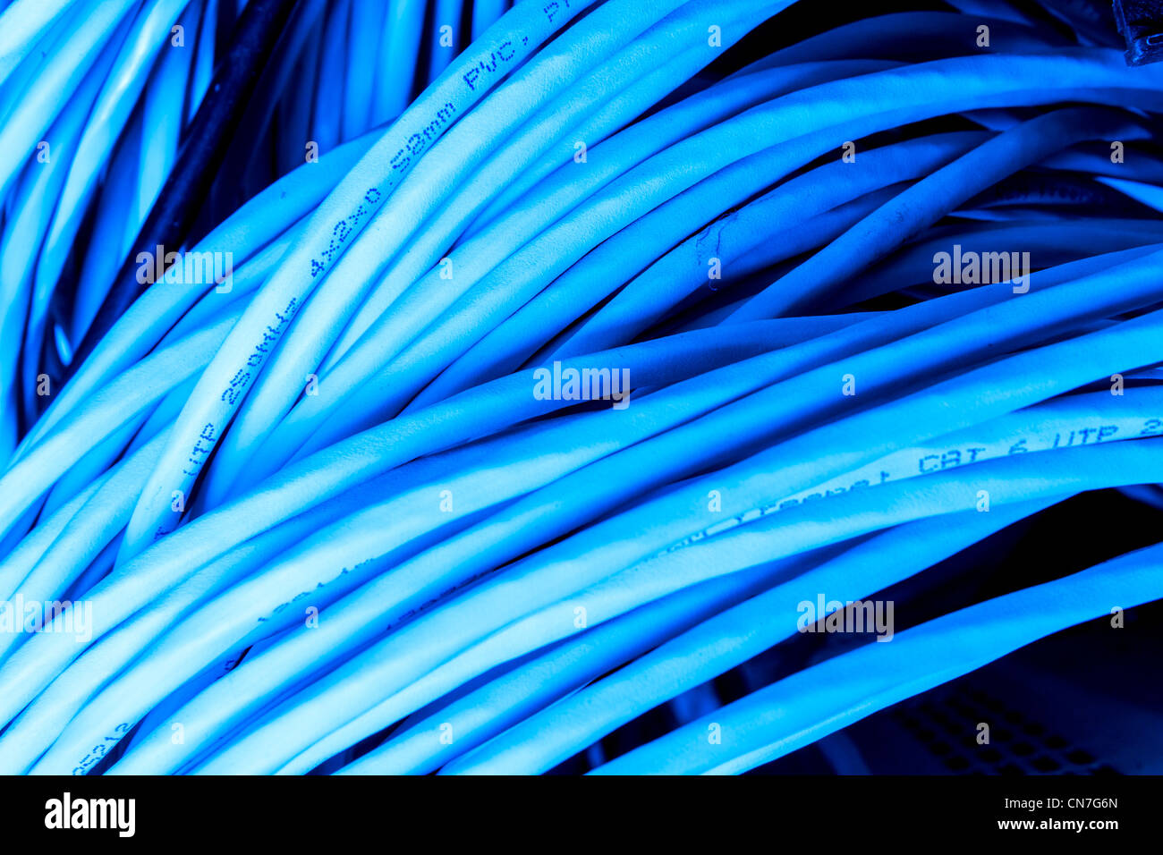 close up of network cables Stock Photo - Alamy