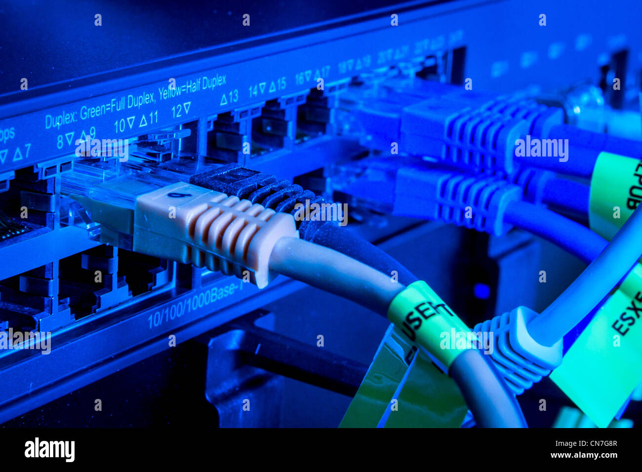 network cables connected to hub Stock Photo - Alamy