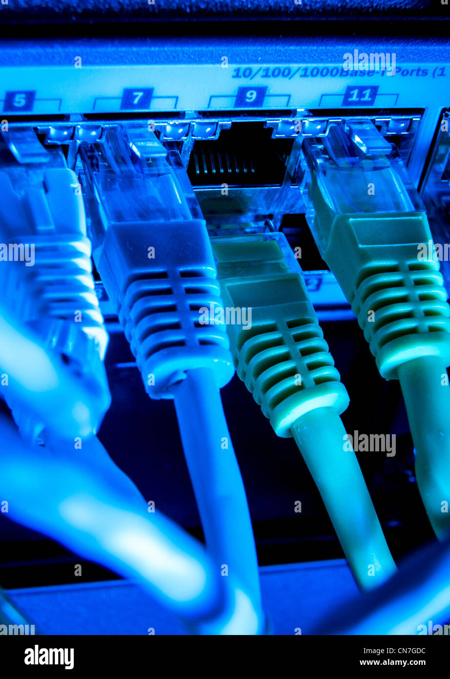 network cables connected to hub Stock Photo - Alamy