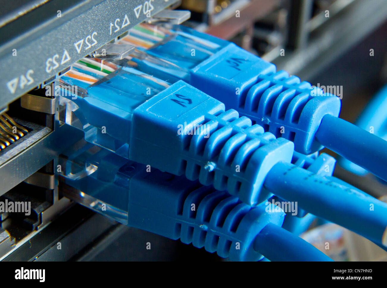 network cables connected to hub Stock Photo - Alamy