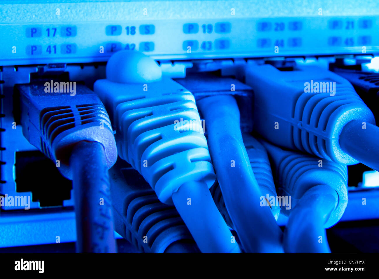 close up of network cables connected to switch Stock Photo - Alamy