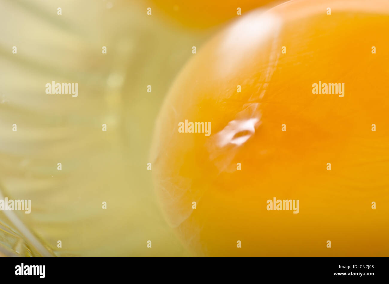 chicken eggs for cook or birth Stock Photo - Alamy