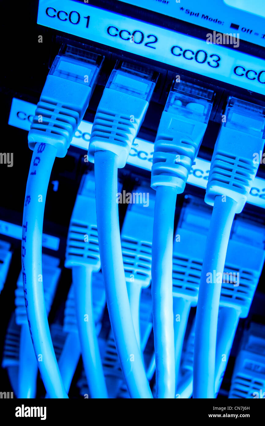 close up of network cables connected to switch Stock Photo - Alamy