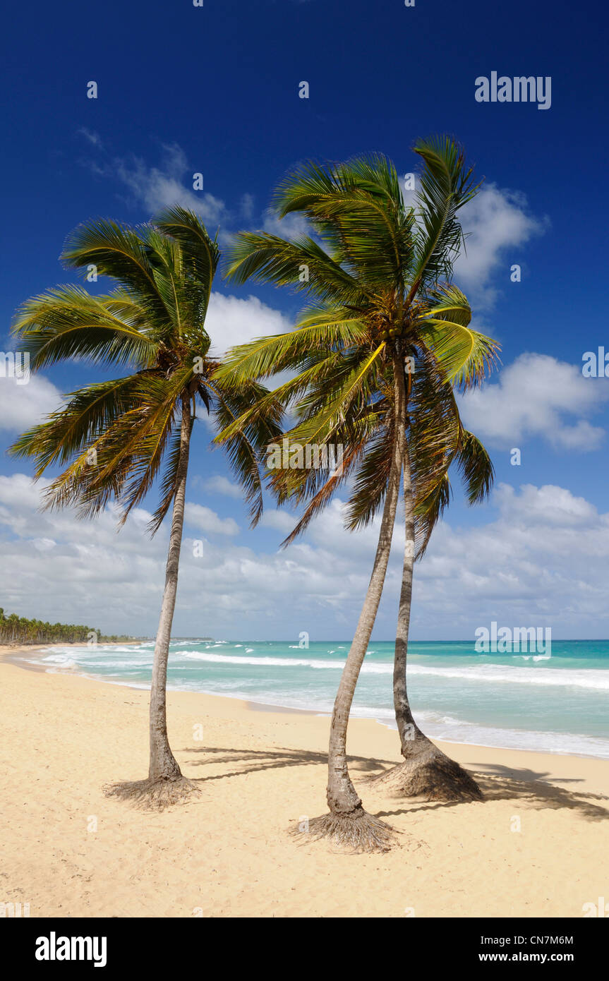 Punta coco beach hi-res stock photography and images - Alamy