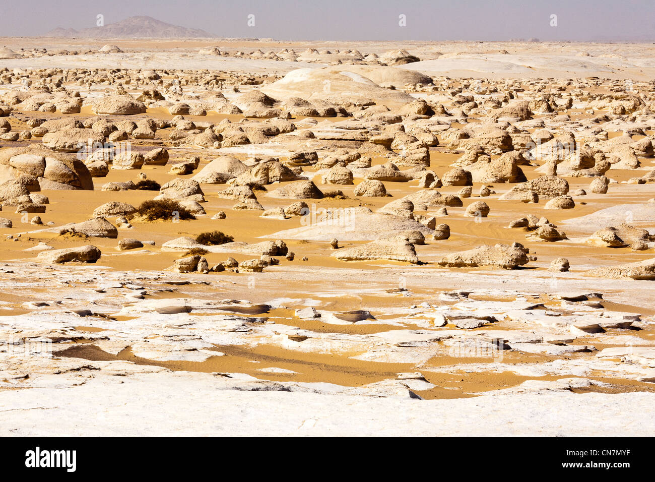 Egypt, Lower Egypt, Libyan desert, Bahareyya oasis, white desert Stock Photo - Alamy