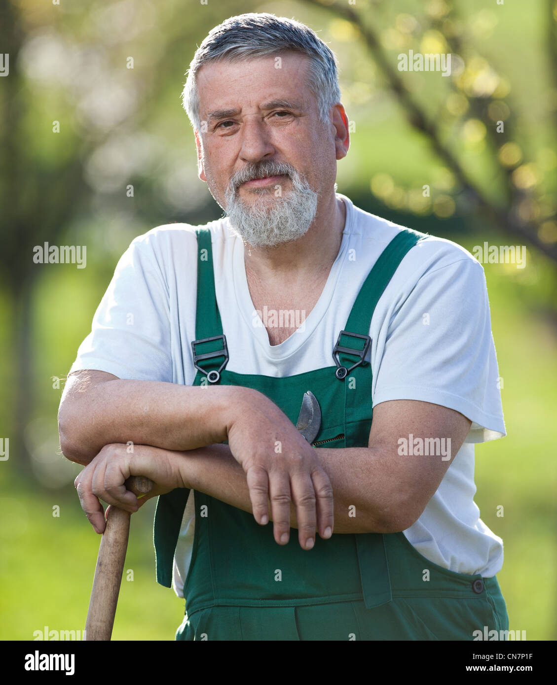 Portrait of a gardener in a garden Stock Photo - Alamy