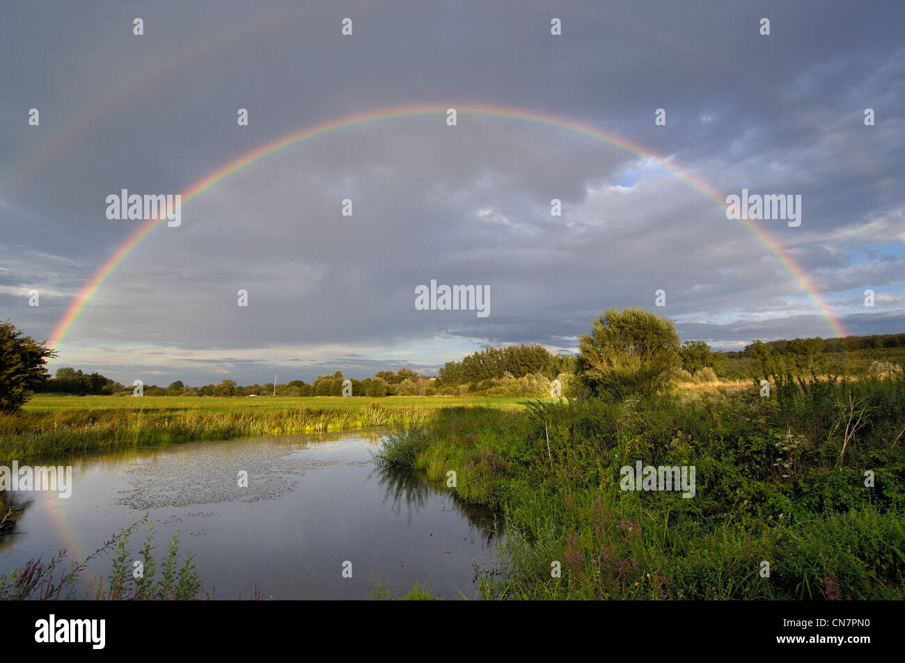 River allan water hi-res stock photography and images - Alamy