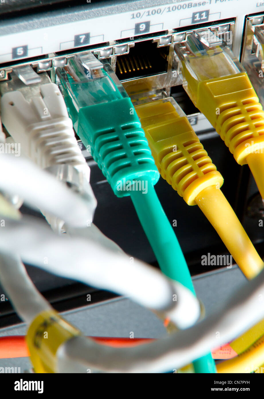 network cables connected to hub Stock Photo - Alamy