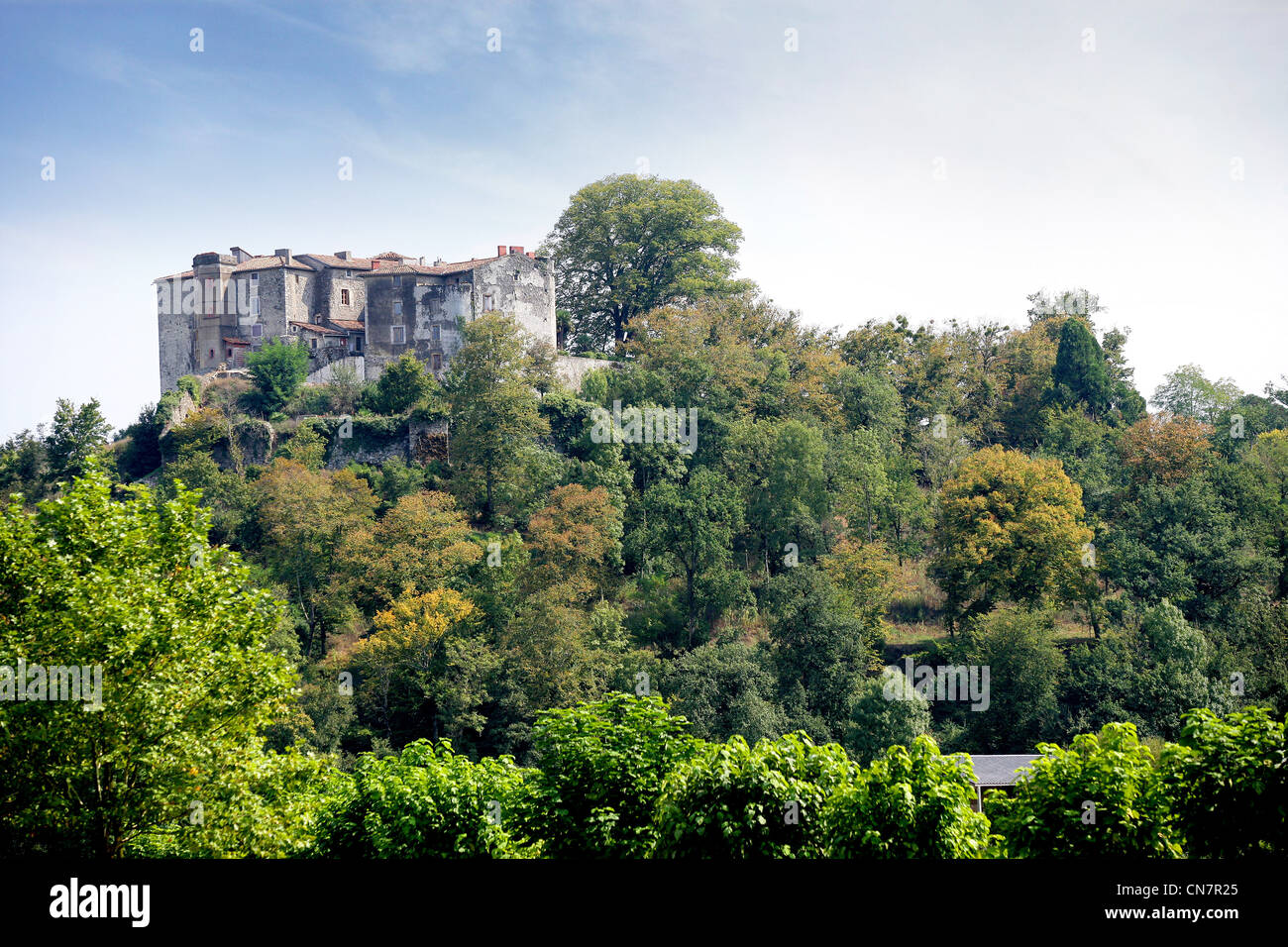 Village surrounded by trees Stock Photo - Alamy