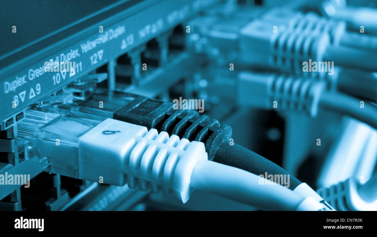 network cables connected to hub Stock Photo - Alamy