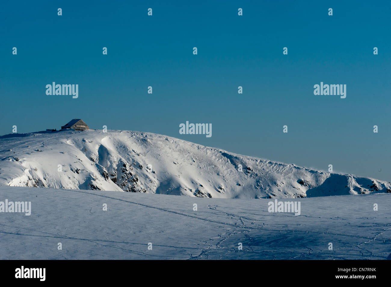 France, Haut Rhin, Vallee de Munster, landscape of the crests from ...