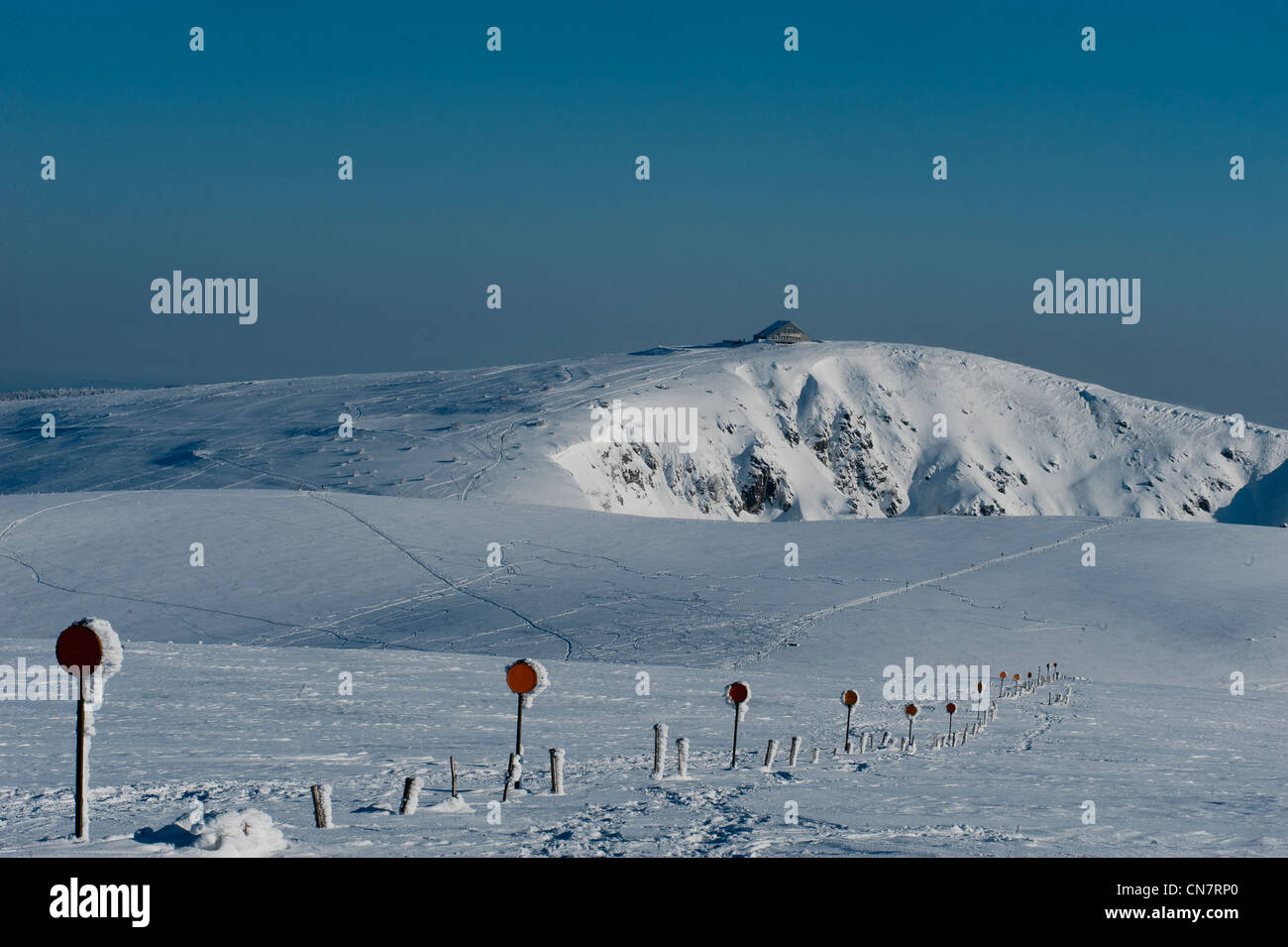 France, Haut Rhin, Vallee de Munster, landscape of the crests from ...