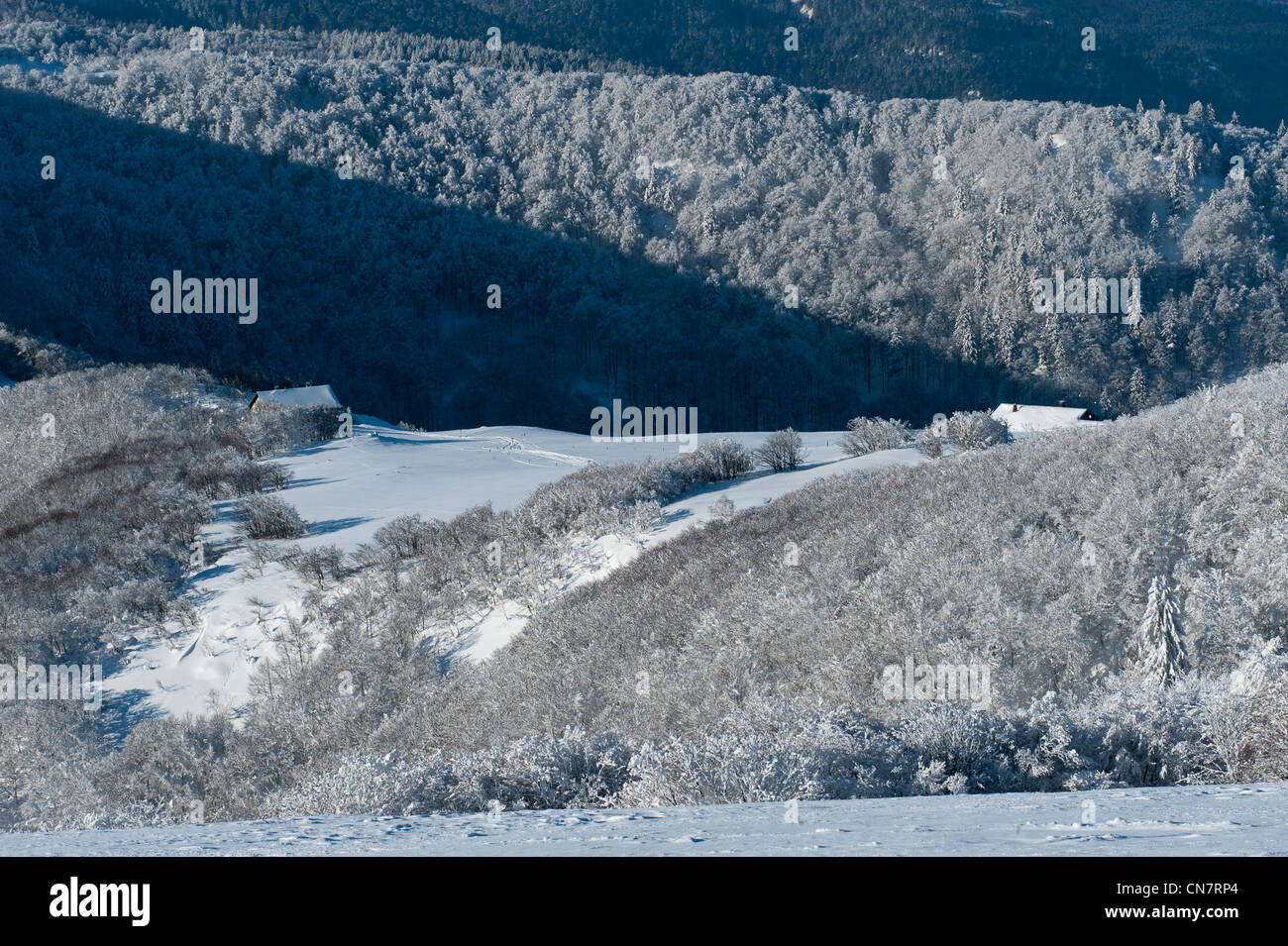 France, Haut Rhin, Vallee de Munster, landscape of the crests from ...