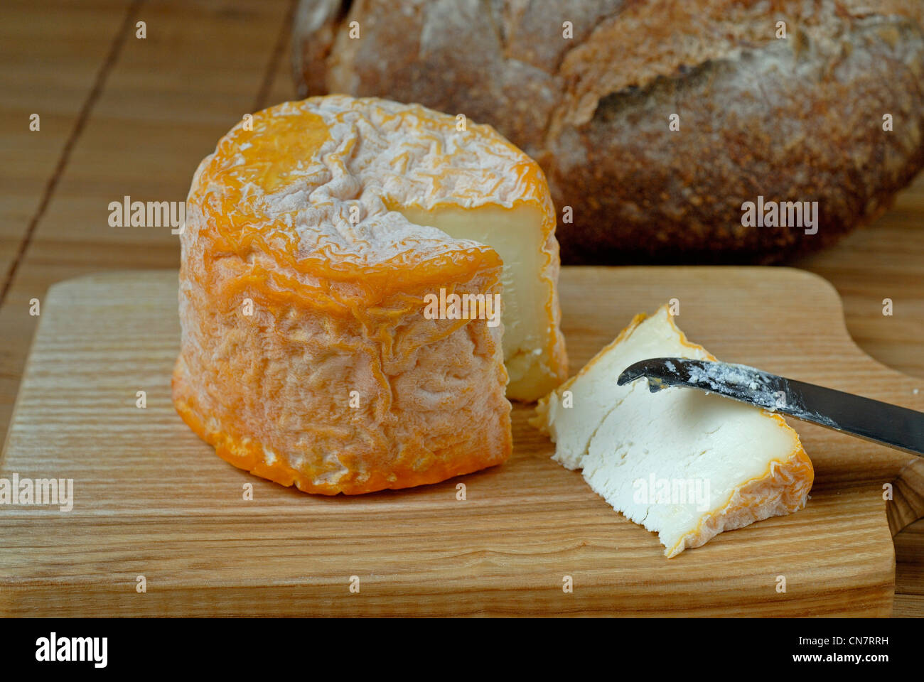 France, Haute Marne, Langres, Langres Cheese AOC Stock Photo - Alamy