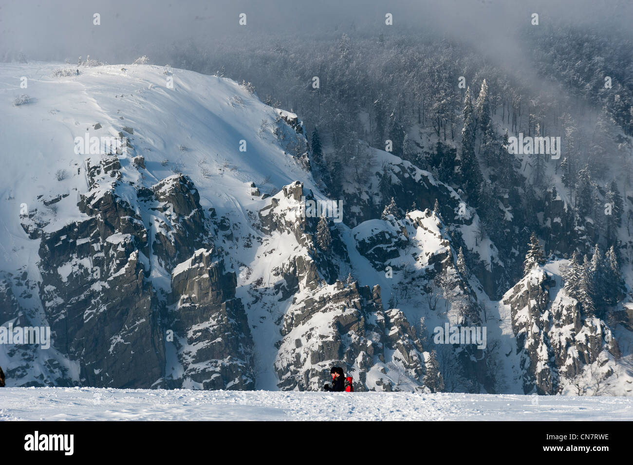 France, Haut Rhin, Vallee de Munster, landscape of the crests from ...