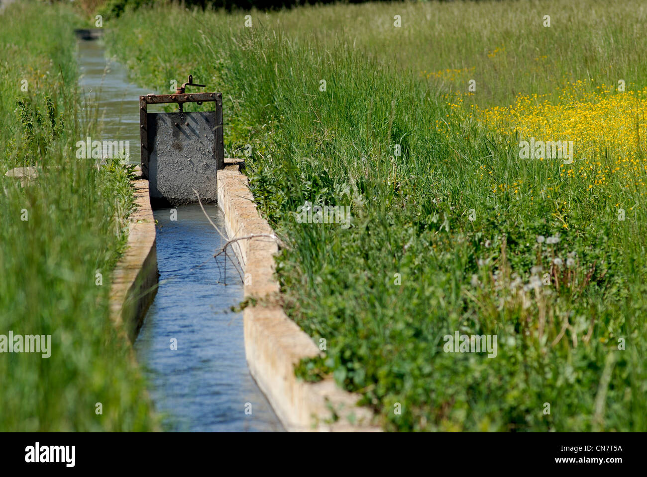 Crau hay hi-res stock photography and images - Alamy