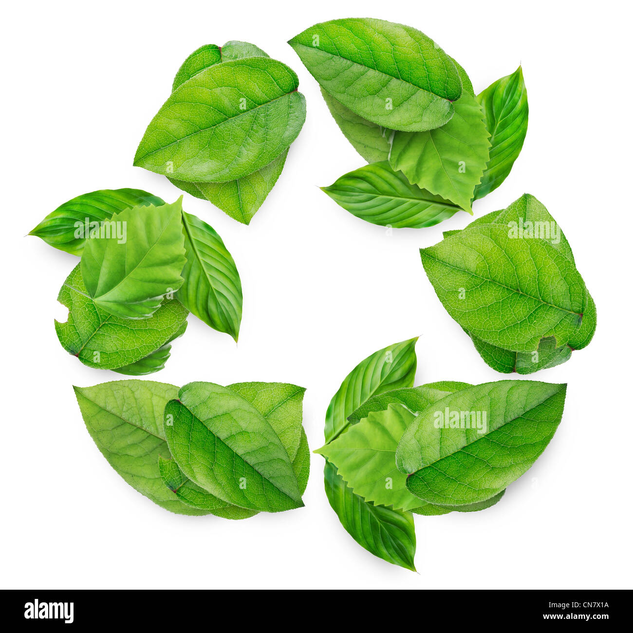 Recycling symbol with leaves hi-res stock photography and images - Alamy