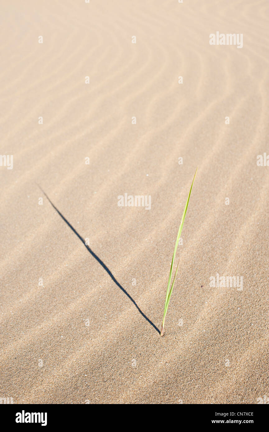 Greece, Lemnos Island, Gomati beach Stock Photo - Alamy