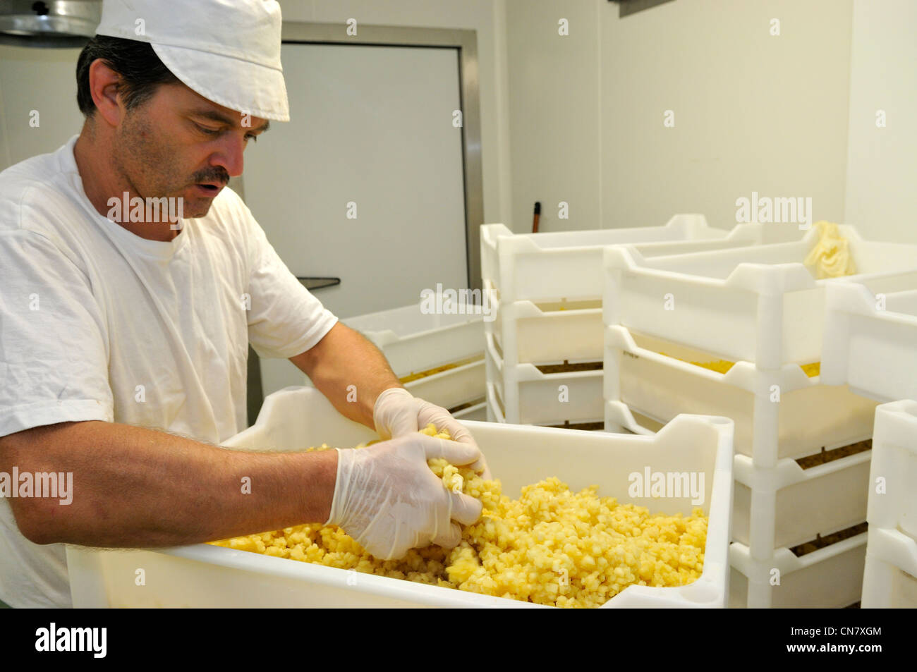 France, Doubs, the Long Sancey, cheese, making the cream cheese, room ...
