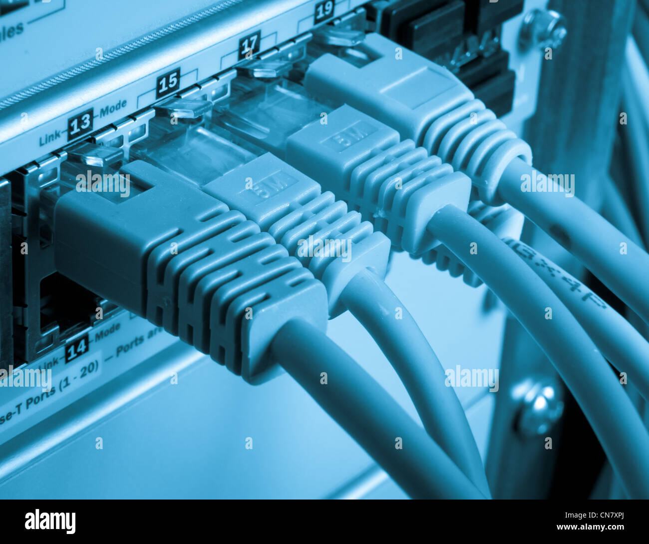 close up of network cables connected to switch Stock Photo - Alamy