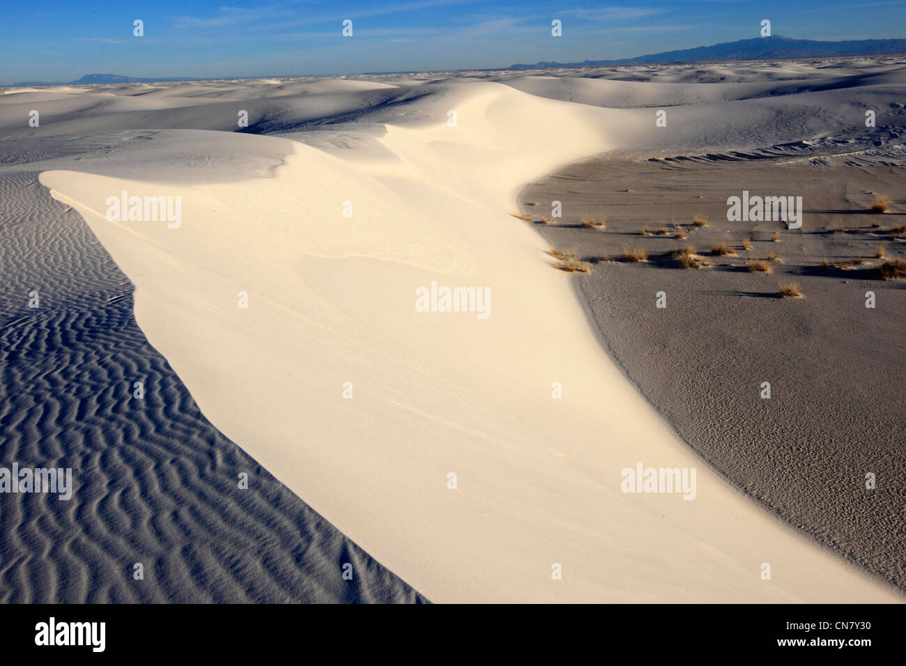 United States, New Mexico, Gypsum Desert, White Sands National Monument ...