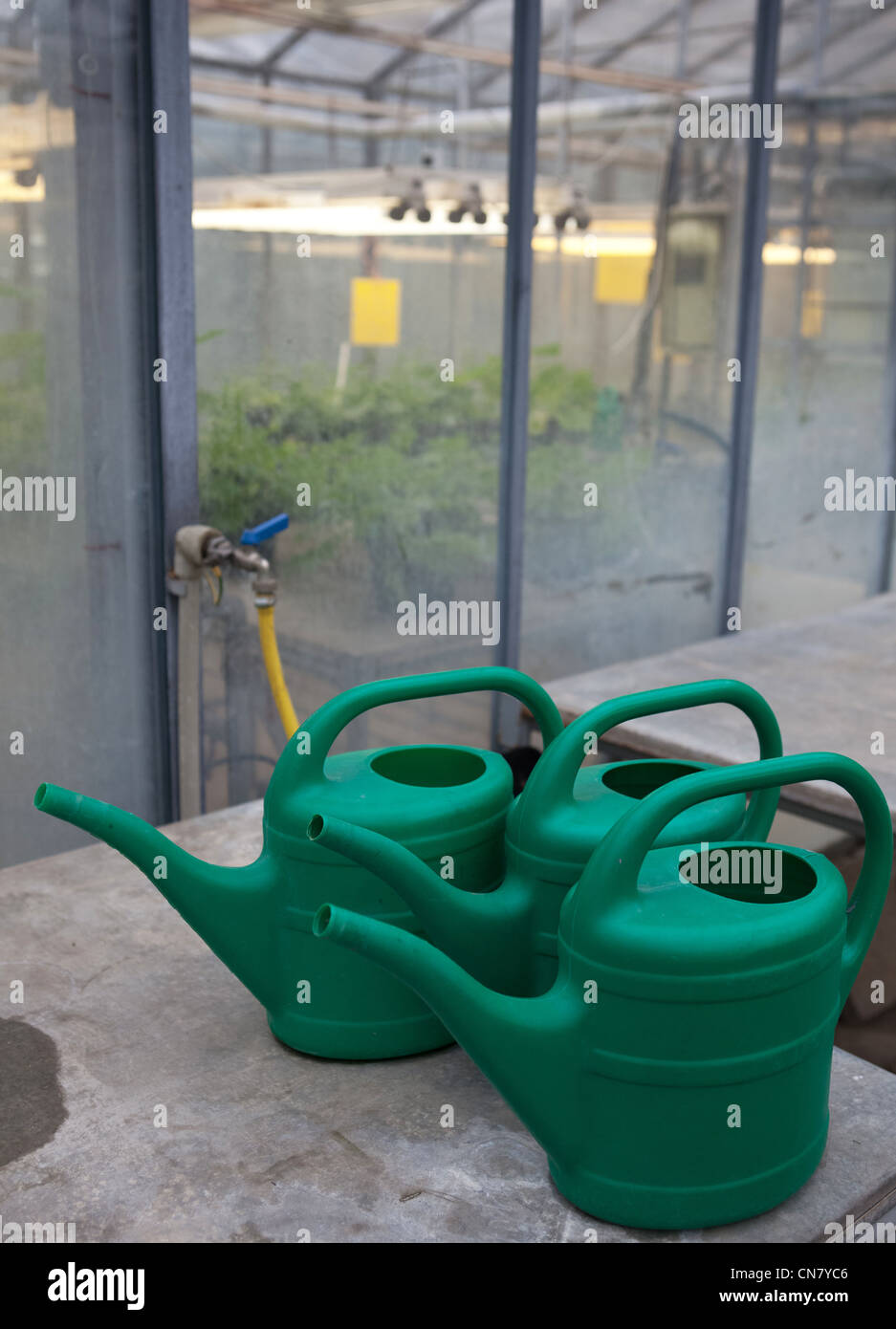 Greenhouse series - inside a greenhouse - watering cans Stock Photo - Alamy