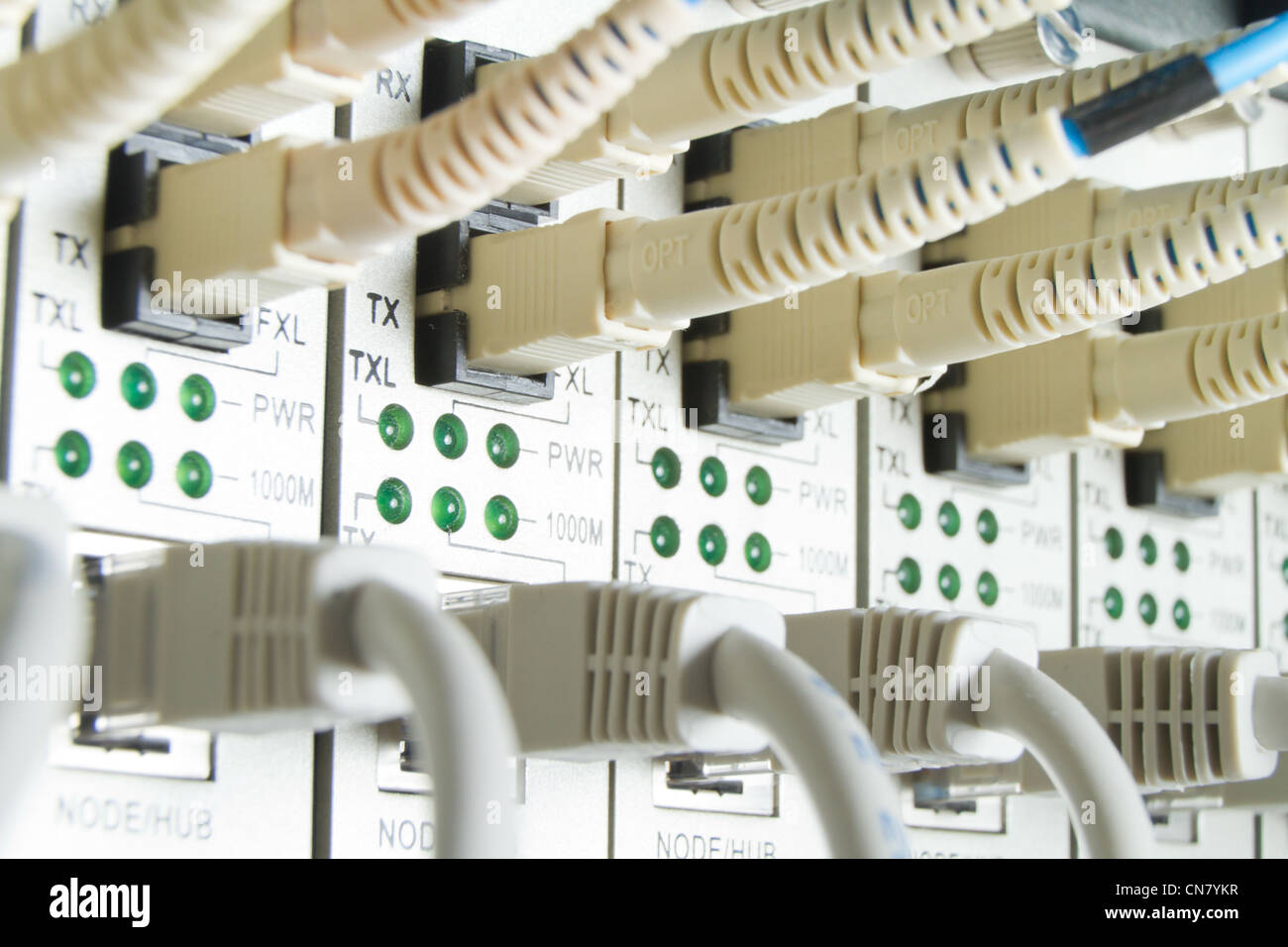 close up of network cables connected to switch Stock Photo - Alamy