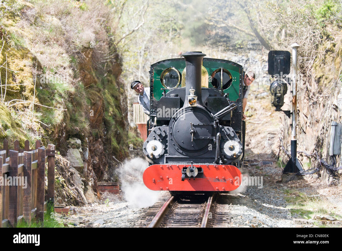 Steam locomotive pulling a passenger train on the Blaenau Ffestiniog Railway Stock Photo - Alamy