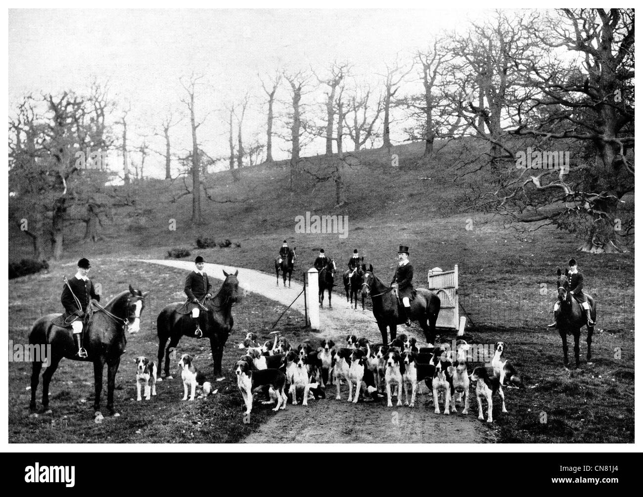 Black And White Photos Of Fox Hunt