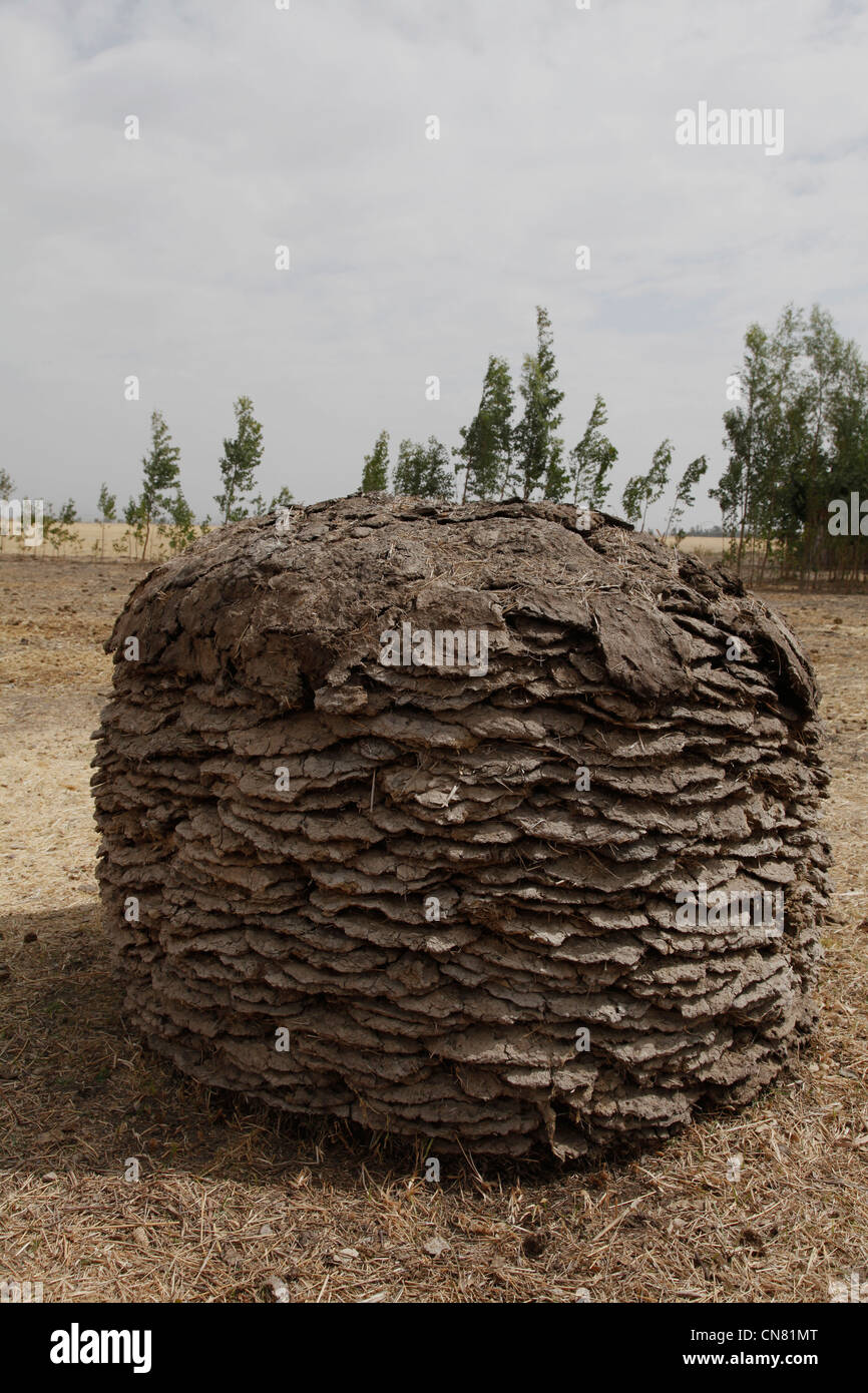 Cooking With Cow Dung