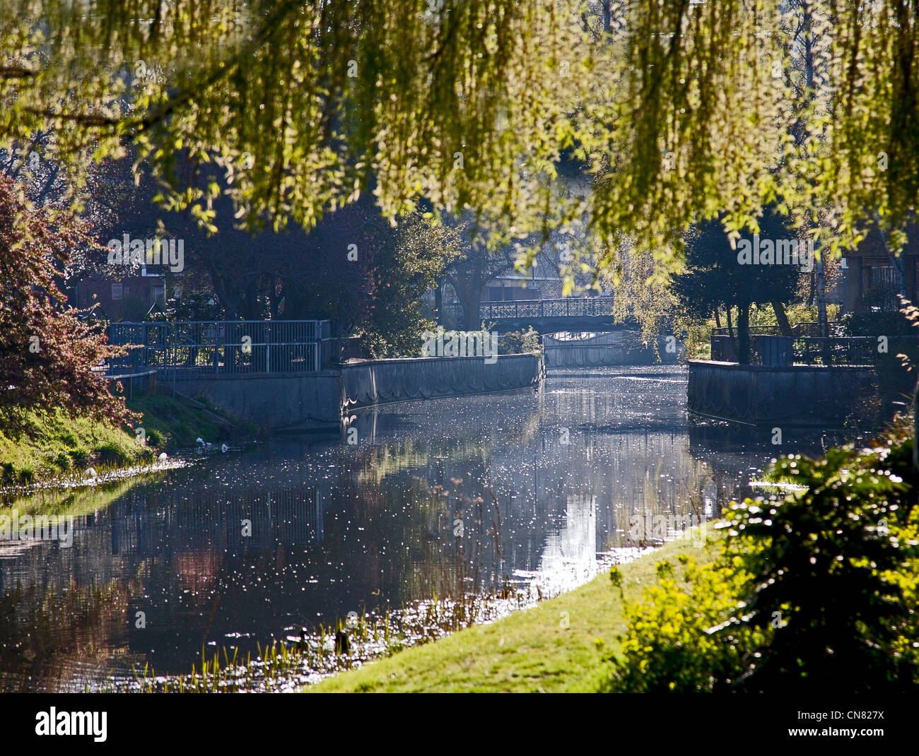 Park in Chelmsford town center showing river chelmer Stock Photo - Alamy