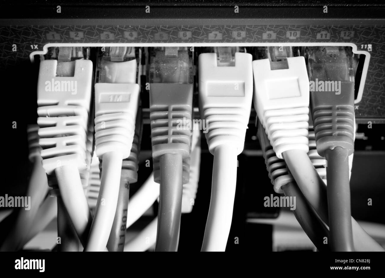 close up of network cables connected to switch Stock Photo - Alamy