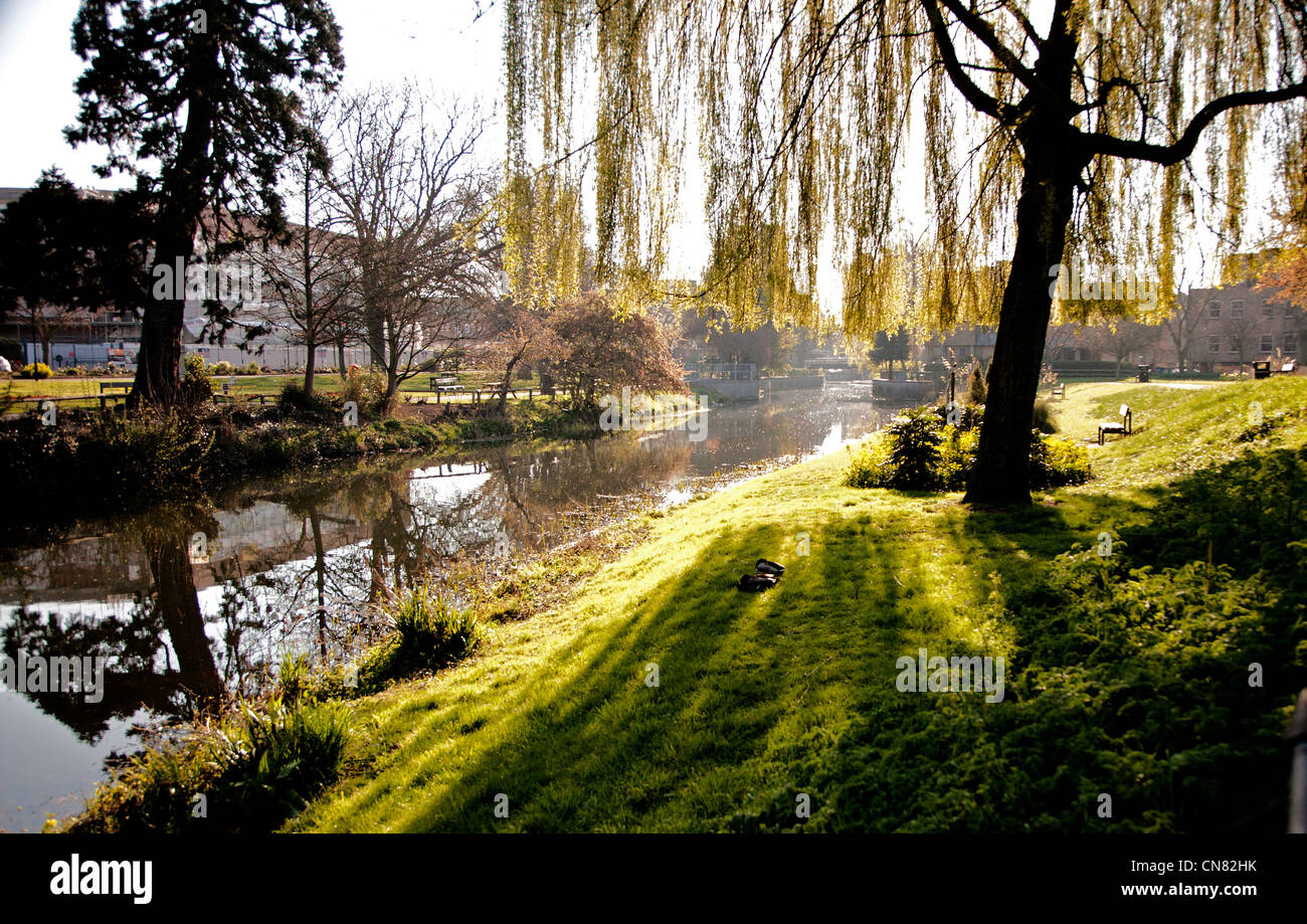 Chelmsford town center showing river chelmer Stock Photo - Alamy