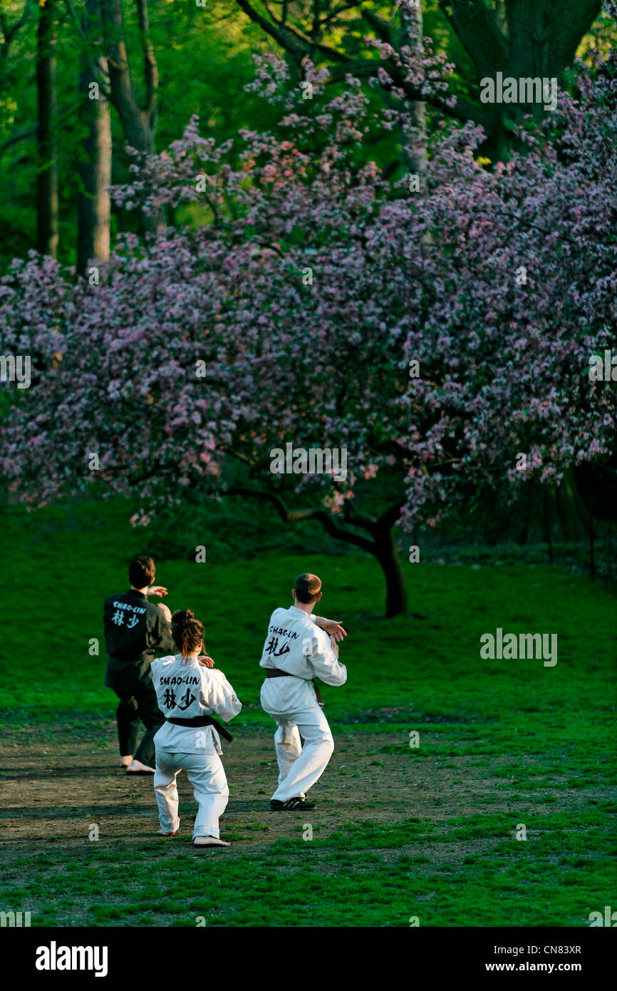 United States, New York City, Manhattan, Central Park, kata lesson ...