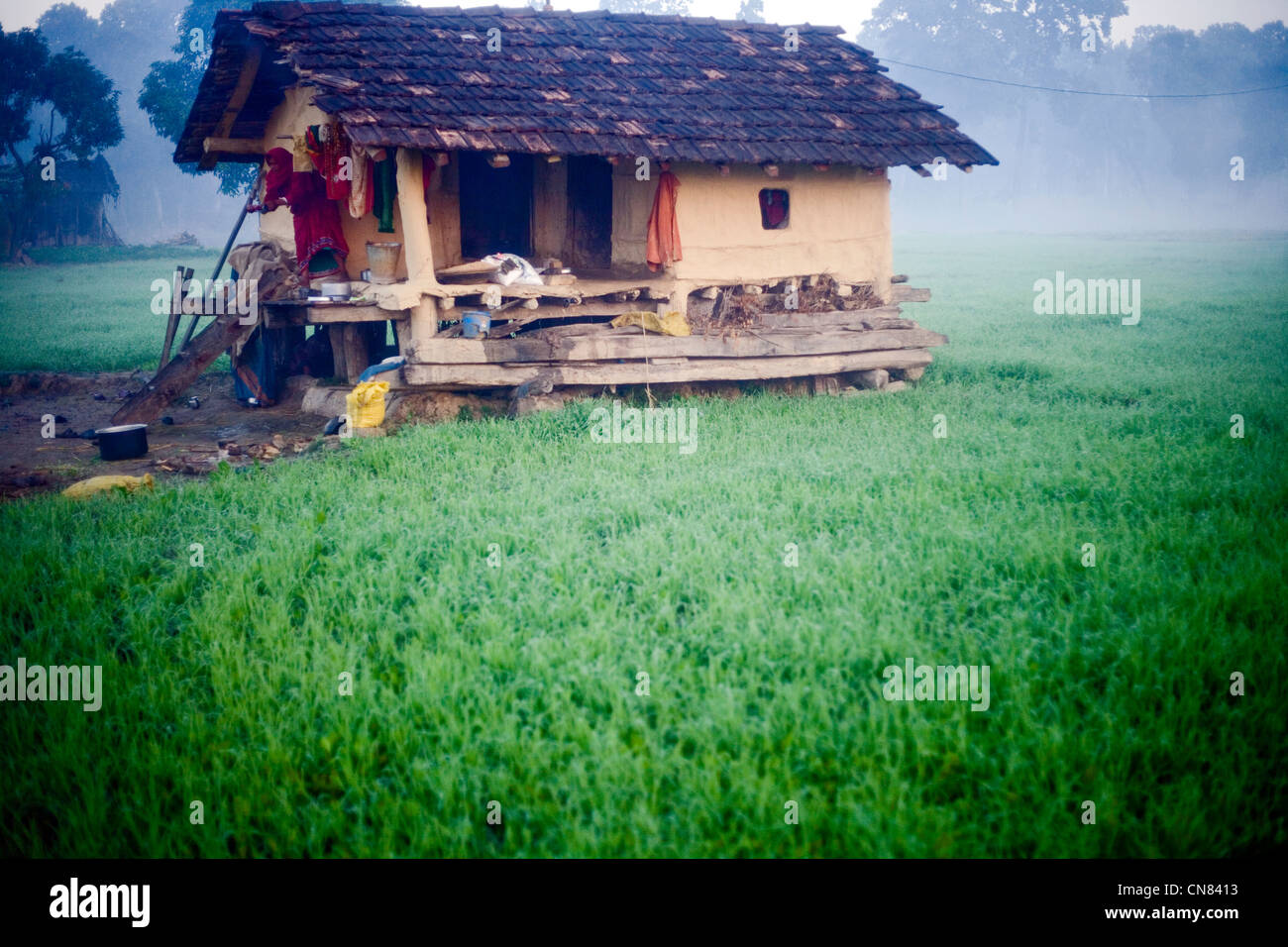Village hut at Bardia National Park , Western Nepal Stock Photo - Alamy
