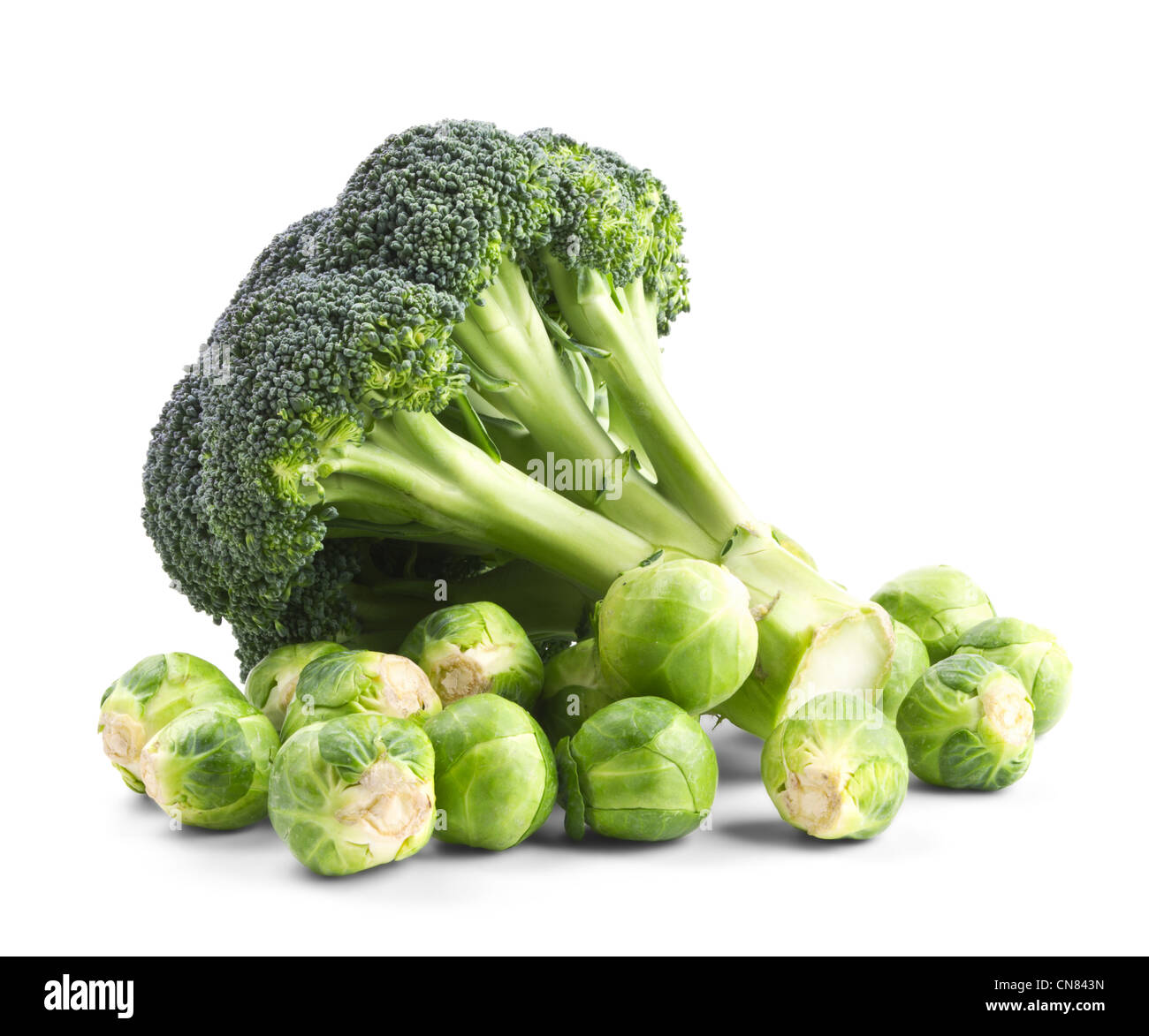 Fresh broccoli and brussels sprouts isolated on a white background ...