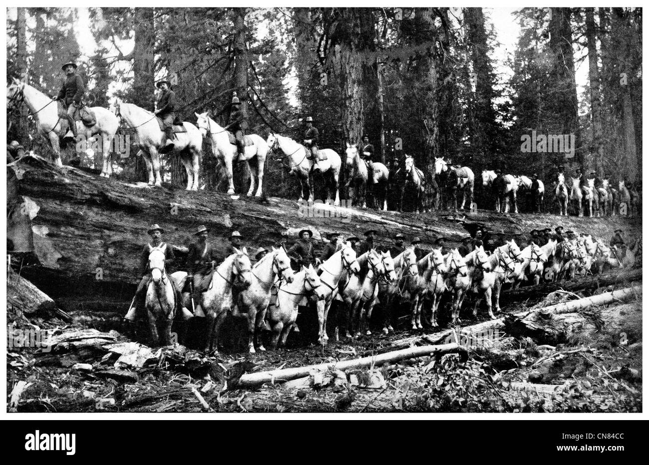 United states cavalry hi-res stock photography and images - Alamy